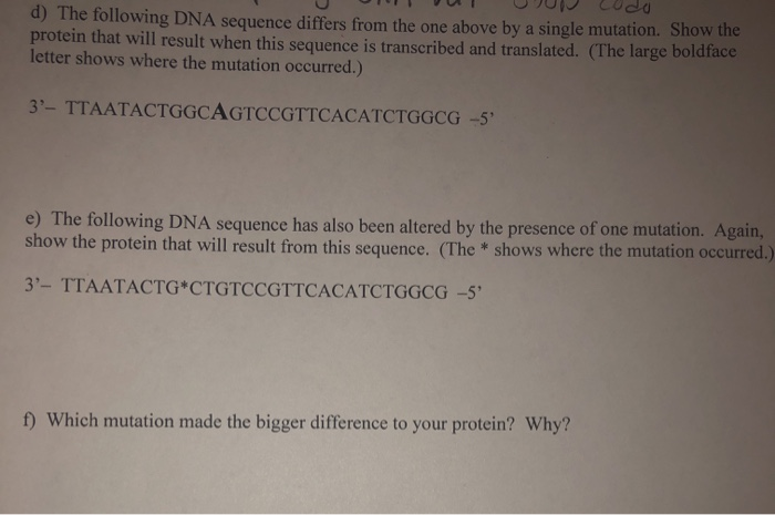 Solved U O VULDU Codo d) The following DNA sequence differs | Chegg.com