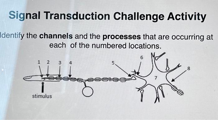 Solved Signal Transduction Challenge Activity Identify the | Chegg.com