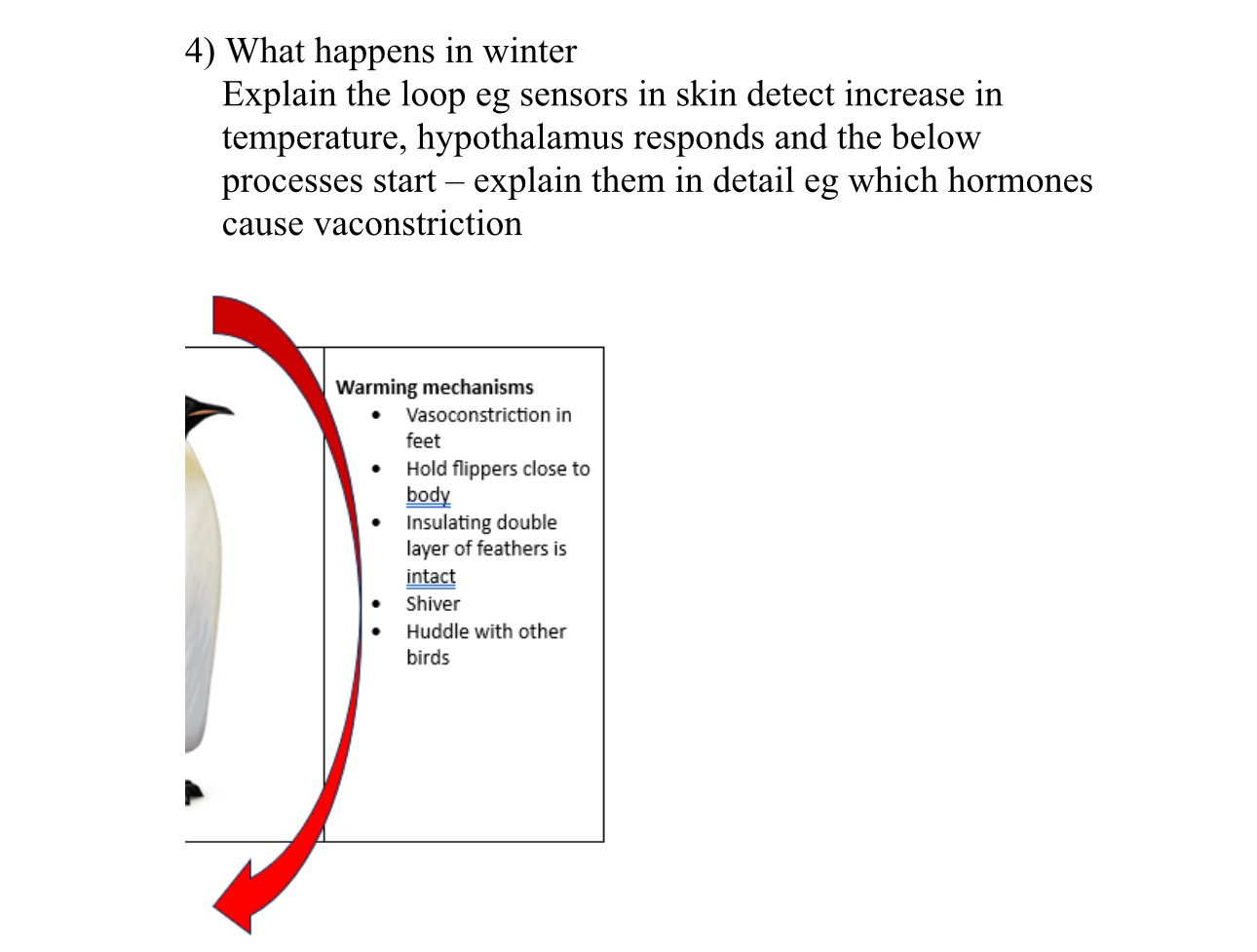 Solved What happens in winter Explain the loop eg sensors in | Chegg.com