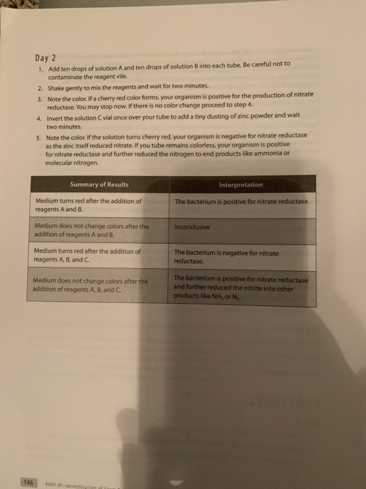 Solved PART VI: IDENTIFICATION OF GRAM POSITIVE AND GRAM | Chegg.com