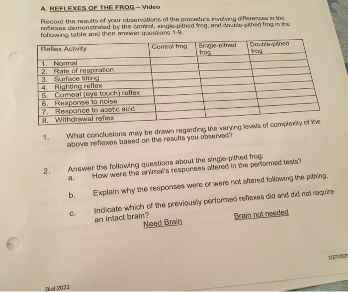 Solved A. REFLEXES OF THE FROG - Video Record the results of | Chegg.com