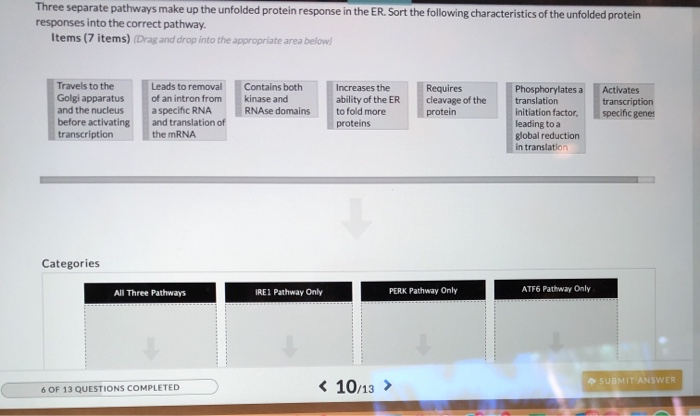 Solved Three separate pathways make up the unfolded protein | Chegg.com