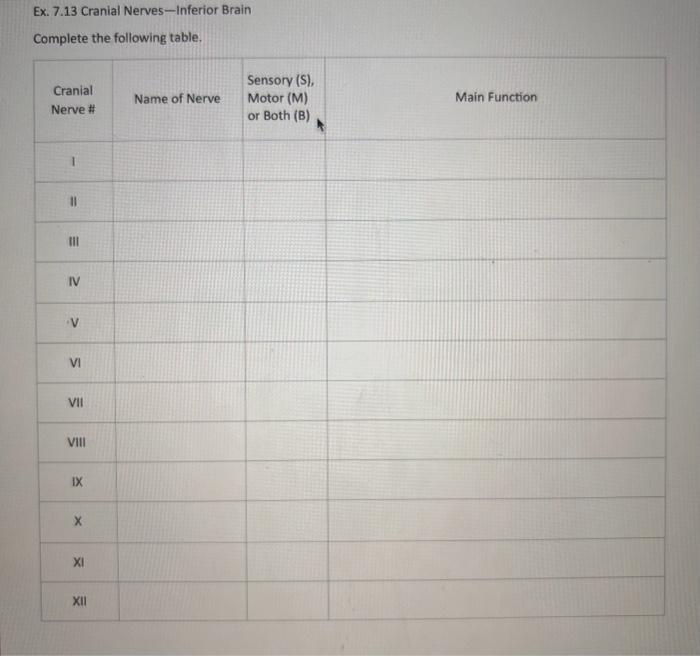 Solved Ex. 7.13 Cranial Nerves-Inferior Brain Complete the | Chegg.com
