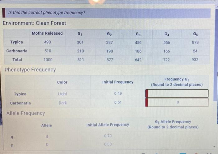 Solved Is this the correct phenotype frequency? Environment: | Chegg.com