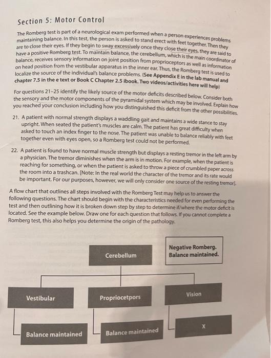 Romberg Balance Test