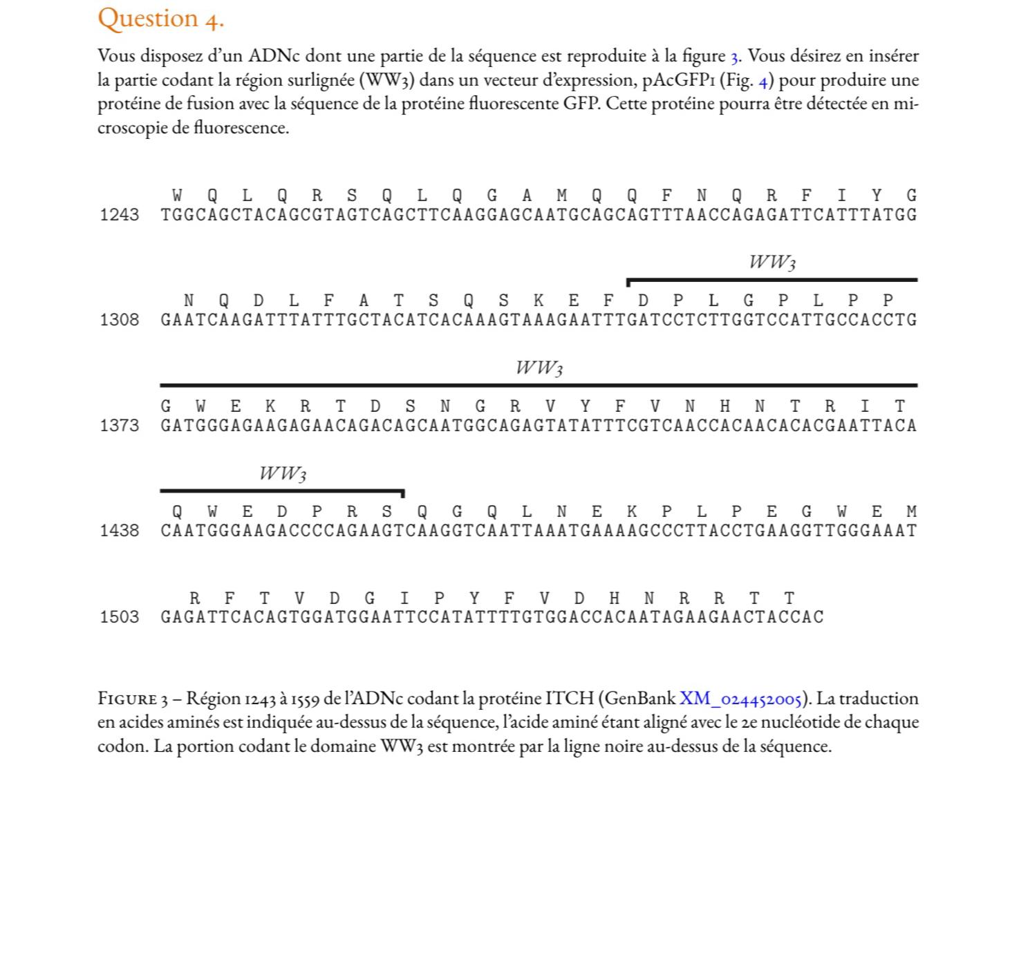 Solved You have a cDNA of which a part of the sequence is | Chegg.com