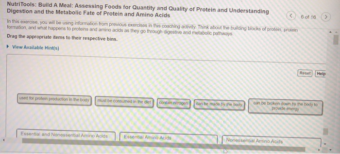 Solved NutriTools: Build A Meal: Assessing Foods for | Chegg.com