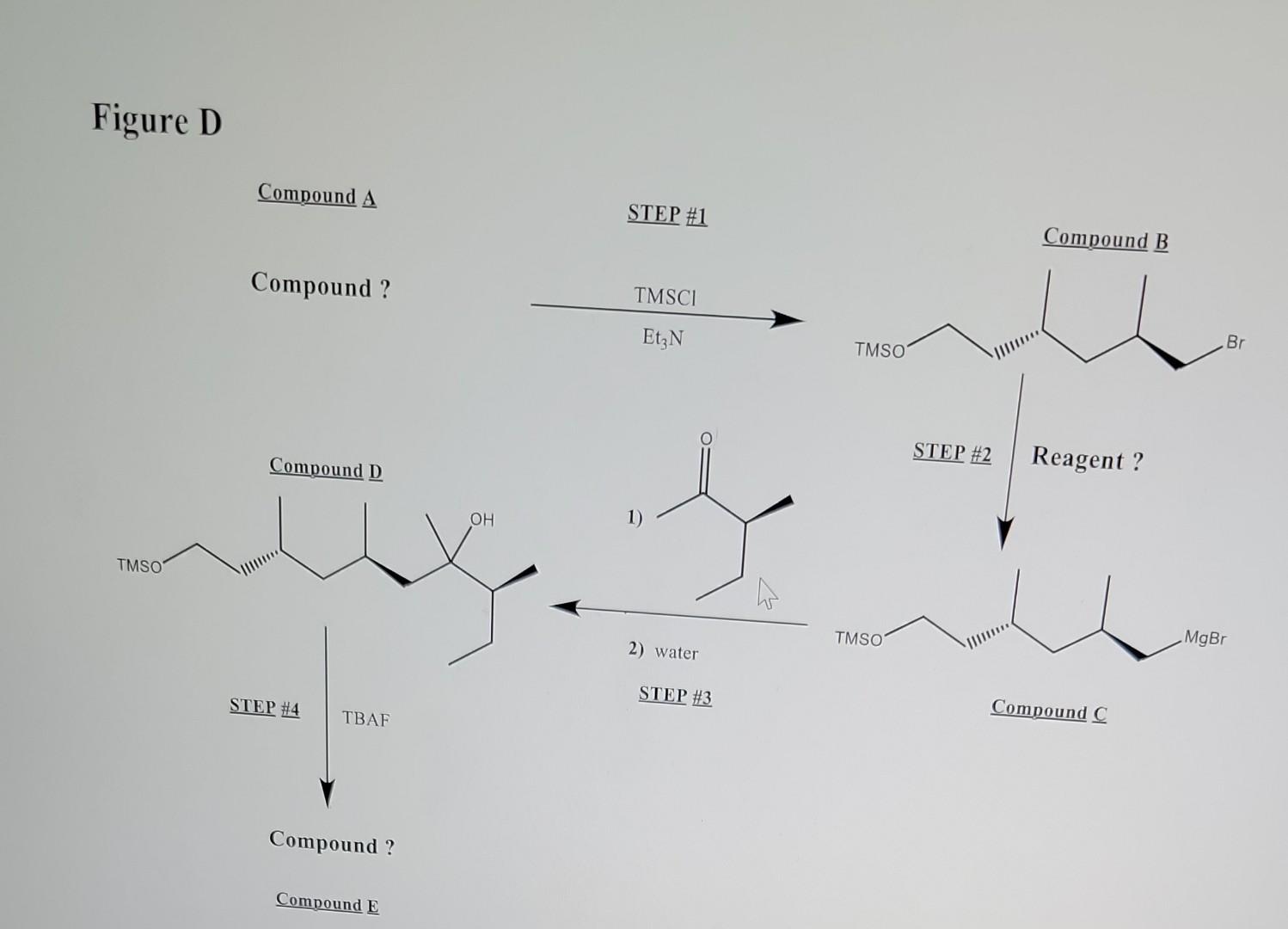 Solved Compound D 1) 2) water STEP \#4 TBAF STEP \#3 | Chegg.com