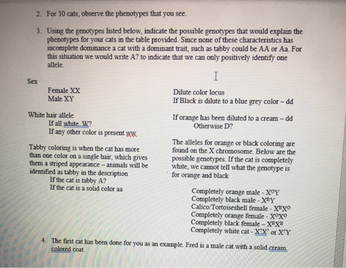 2. For 10 cats, observe the phenotypes that you see. | Chegg.com