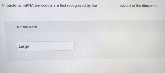 Solved In bacteria, mRNA transcripts are first recognized by | Chegg.com
