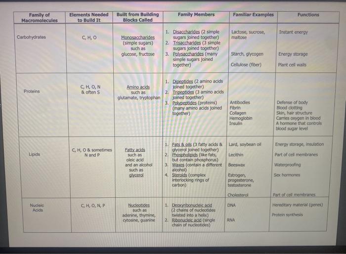 Solved EXPLORING THE MACROMOLECULE TABLE 1. A | Chegg.com