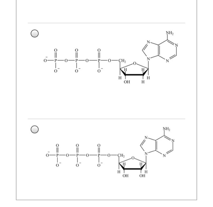 Solved Which is not a stop codon? O UAA O UGC O UAG O UGA | Chegg.com