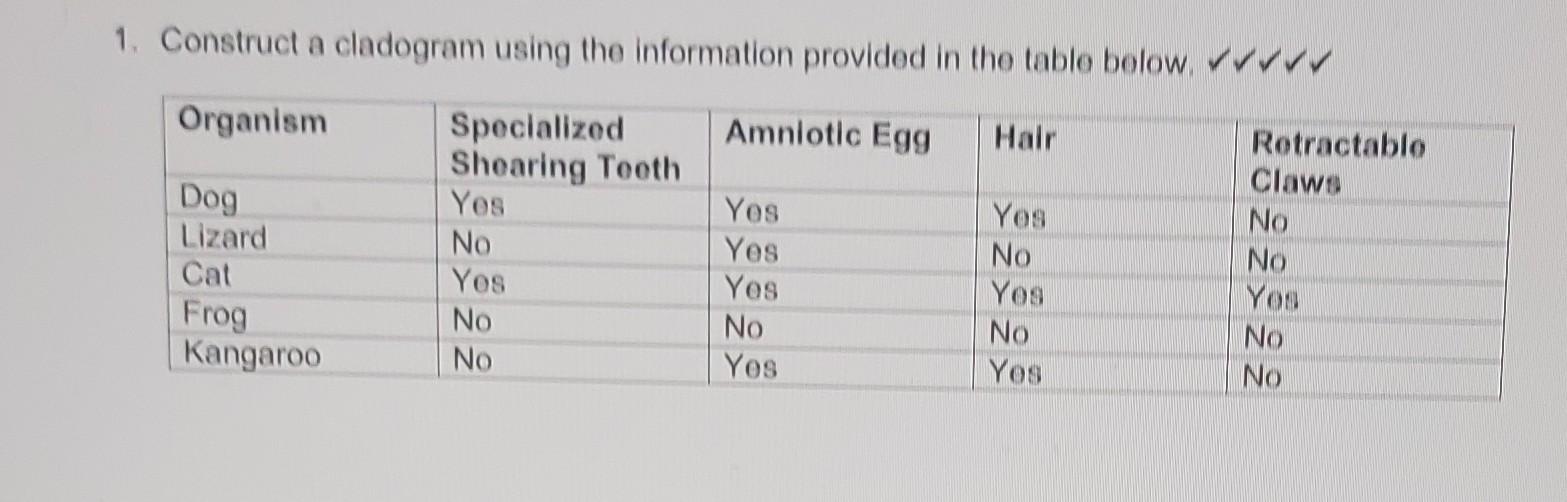 Solved Construct a cladogram using the information provided | Chegg.com