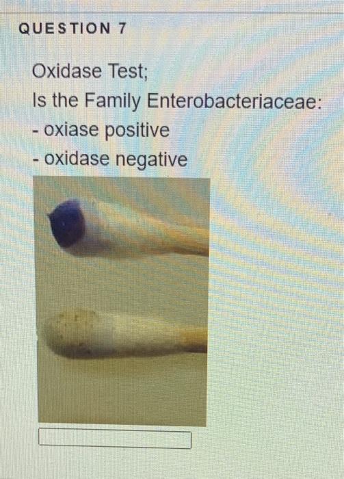 Solved QUESTION 7 Oxidase Test; Is the Family | Chegg.com