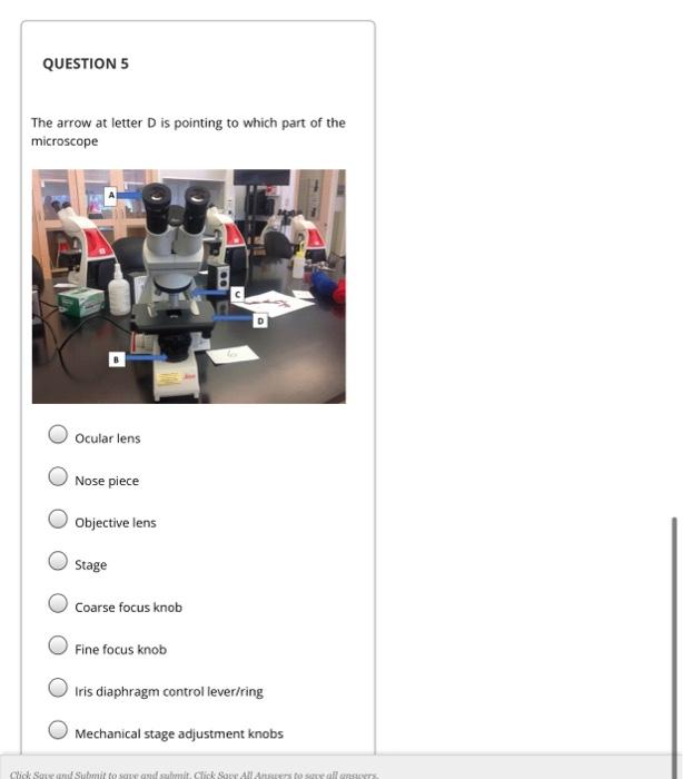 Solved QUESTION 1 The arrow at letter C is pointing to which | Chegg.com