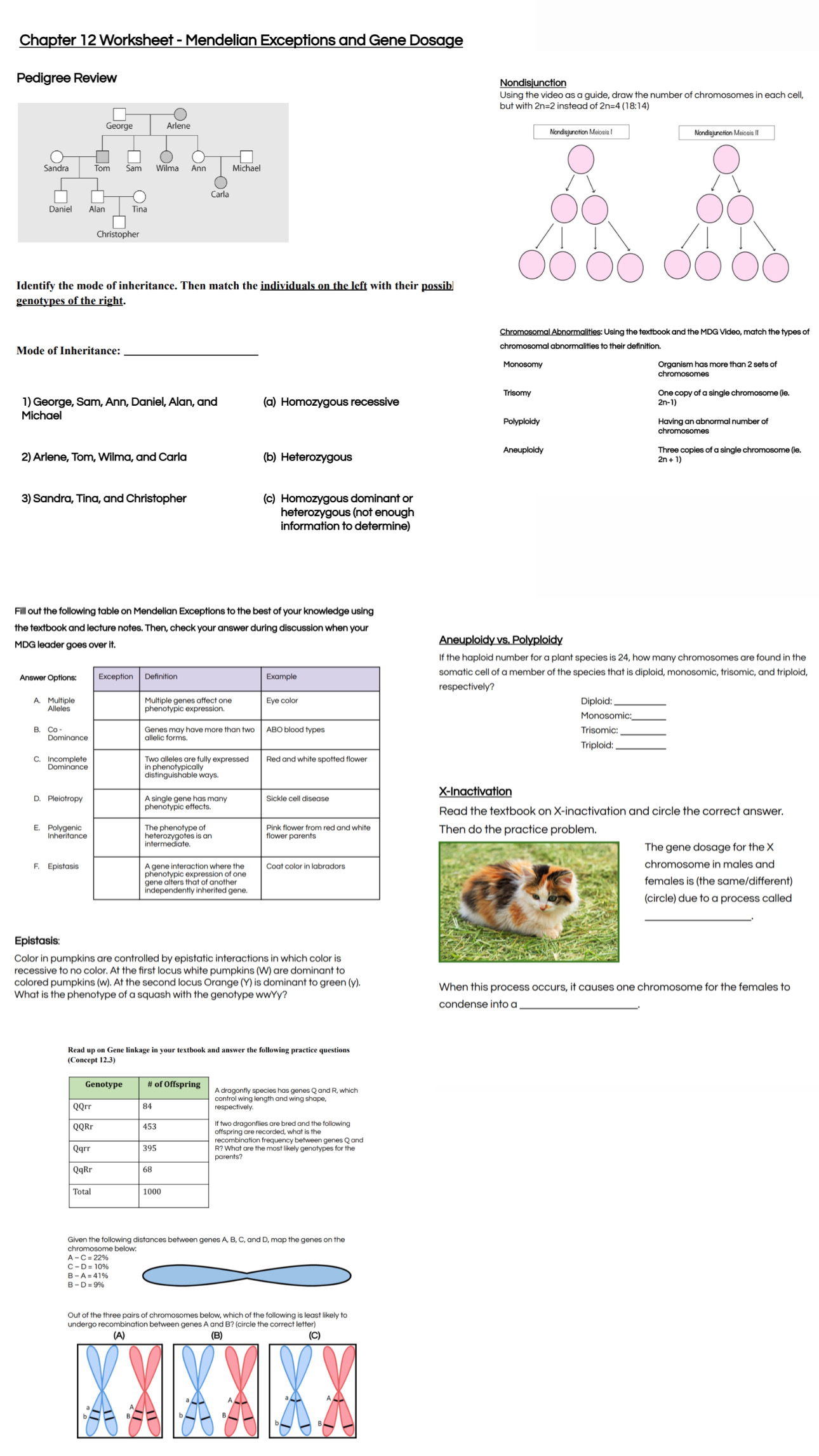 Solved Chapter 12 ﻿Worksheet - ﻿Mendelin Exceptions and Gene | Chegg.com