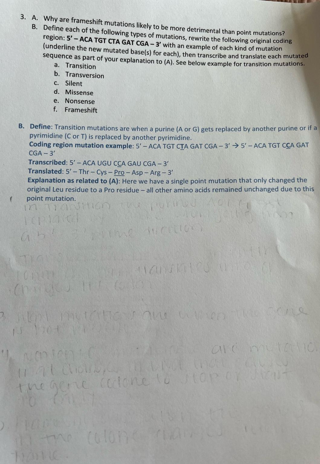 Solved A. ﻿Why are frameshift mutations likely to be more | Chegg.com