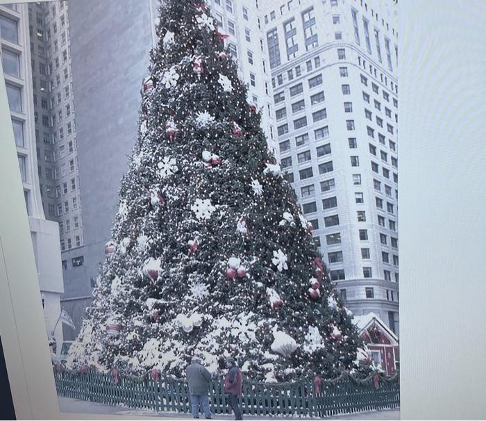 A community Christmas tree is shown below with a | Chegg.com