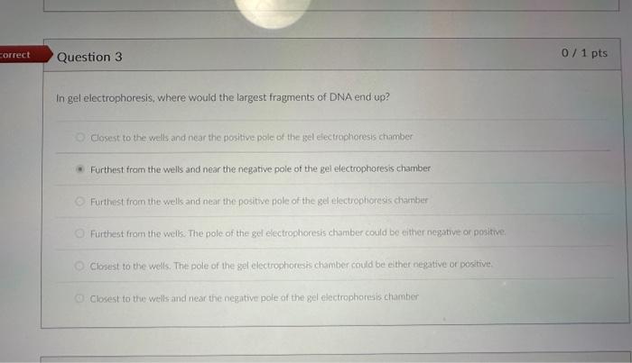 Solved Question 5 0/1 pts in PCR. what happens during the | Chegg.com
