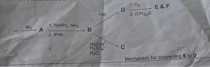 Solved draw the mechanism for converting B to D thats all I | Chegg.com
