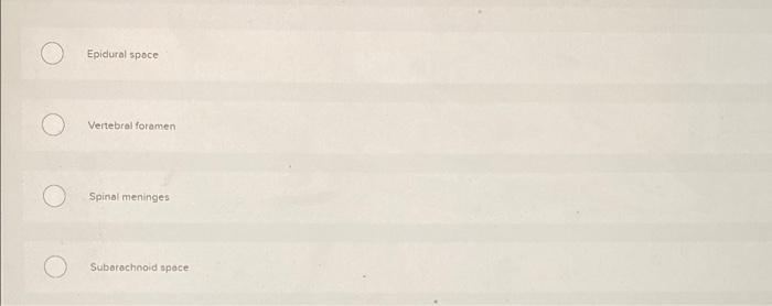 Solved Which Structure/Space is Highlighted in Green And | Chegg.com