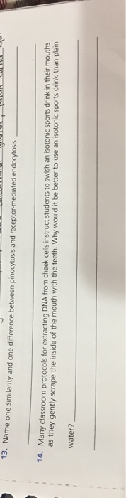 Solved 13. Name one similarity and one difference between | Chegg.com