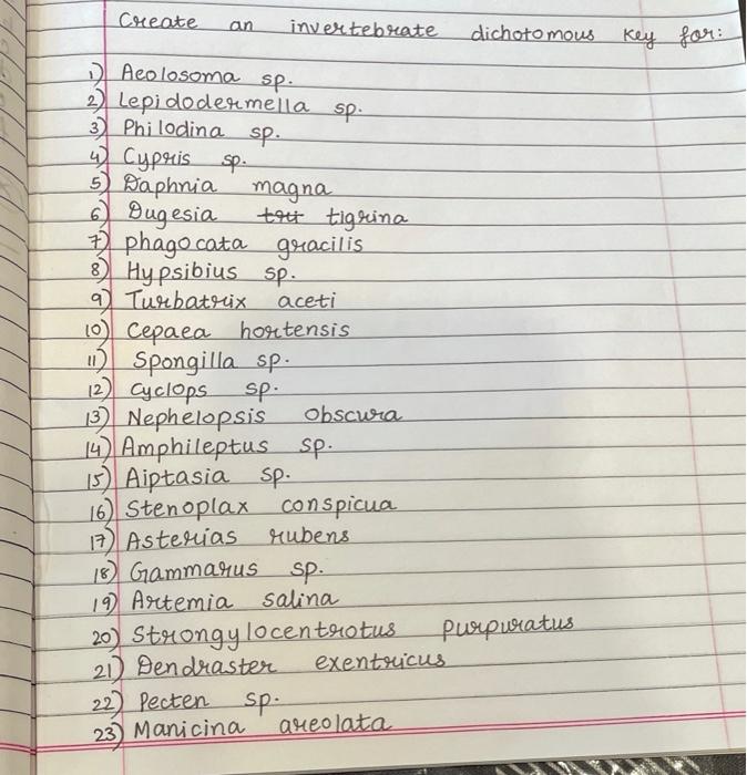 Solved Create an invertebrate dichoto mous Key for : | Chegg.com