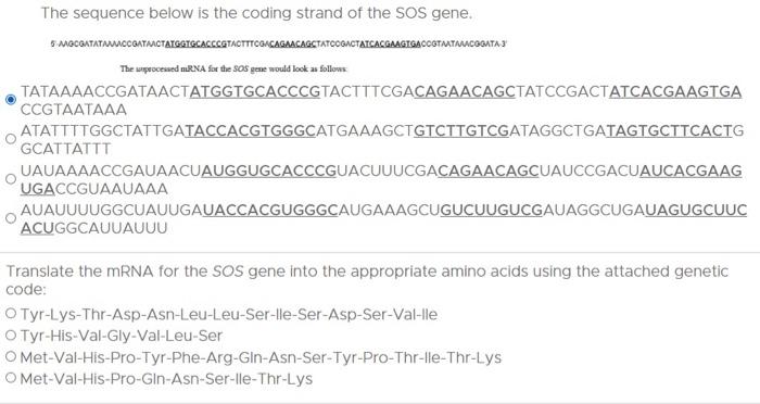 Solved The sequence below is the coding strand of the SOS | Chegg.com