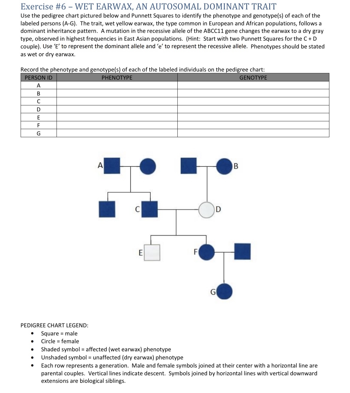 Solved Exercise #6 - ﻿WET EARWAX, AN AUTOSOMAL DOMINANT | Chegg.com