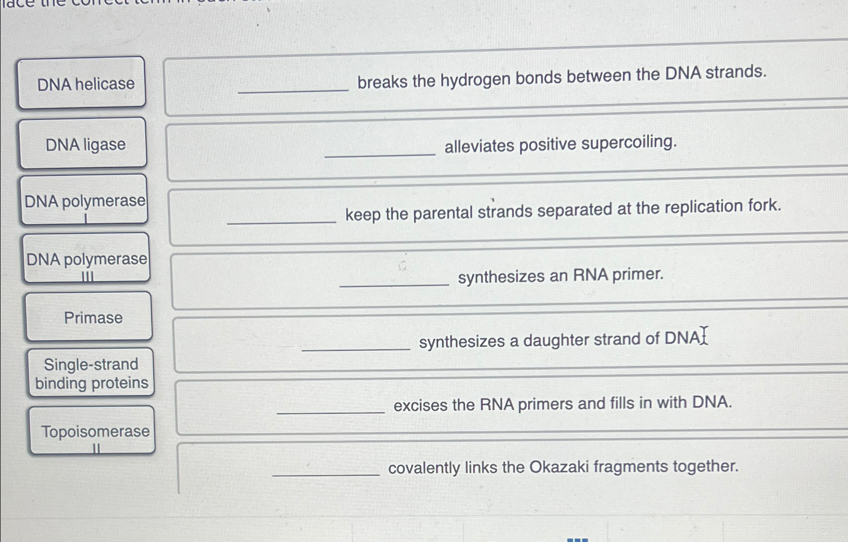 Solved breaks the hydrogen bonds between the DNA | Chegg.com