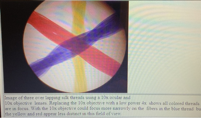 Solved 3 Record your observations of the colored-threads | Chegg.com