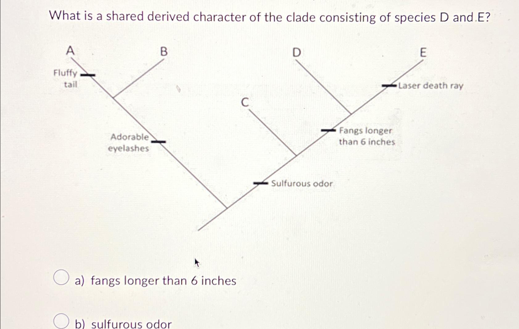 Solved What is a shared derived character of the clade | Chegg.com