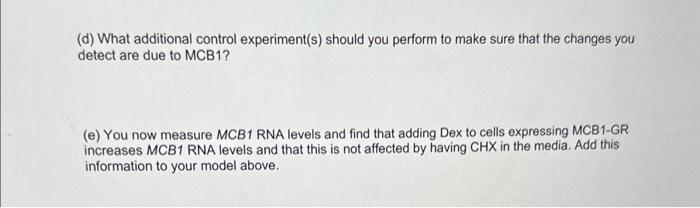 Solved You are interested in the targets of the mouse MCB1 | Chegg.com