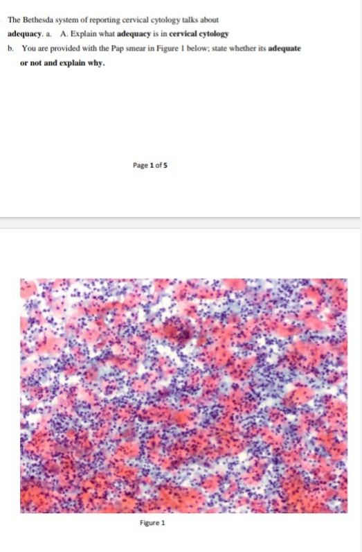 Solved The Bethesda system of reporting cervical cytology | Chegg.com