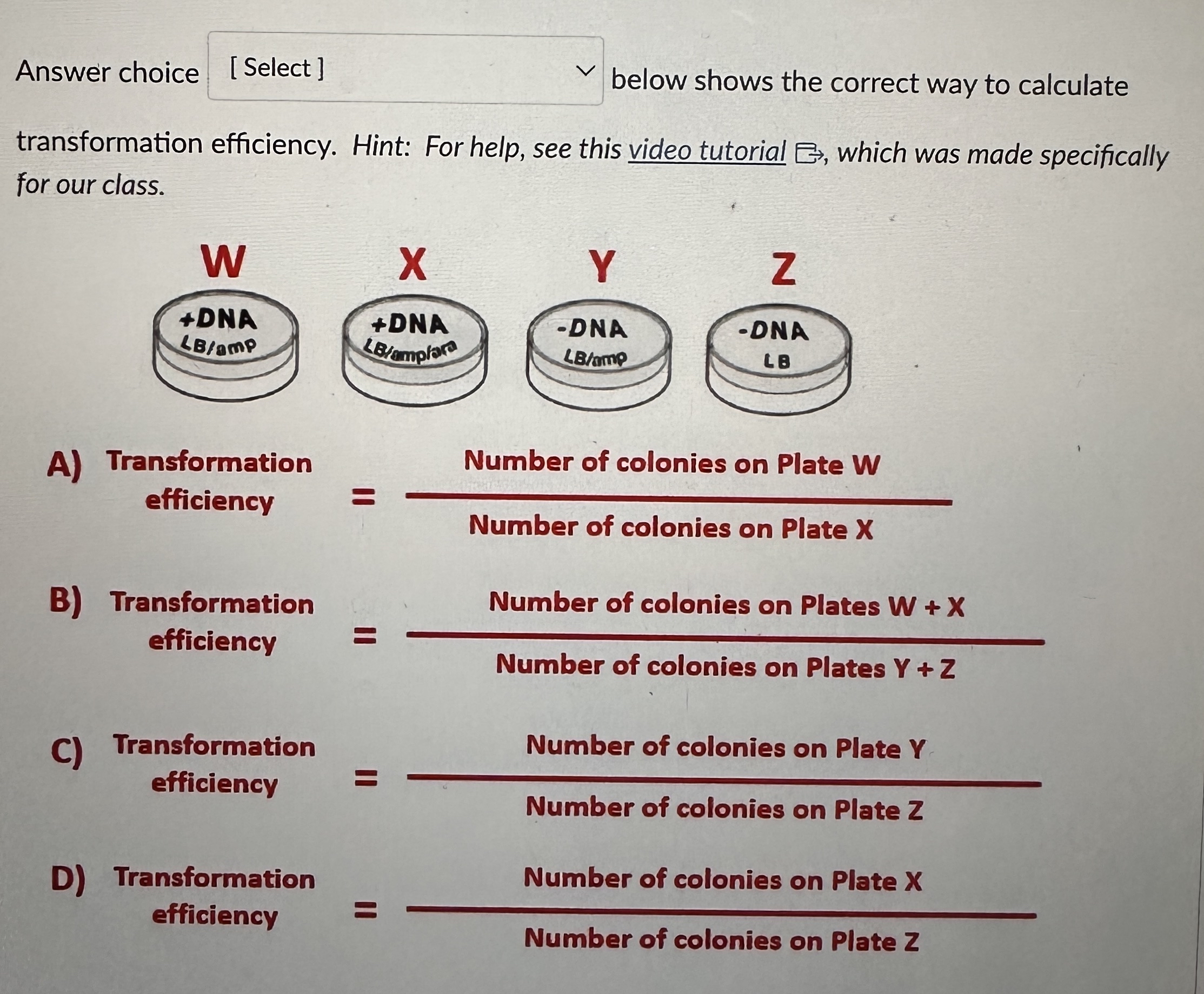 Solved Answer Choice Below Shows The Correct Way To