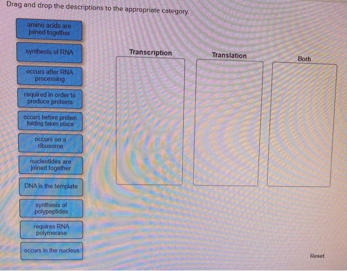 Solved Drag and drop the descriptions to the appropriate | Chegg.com