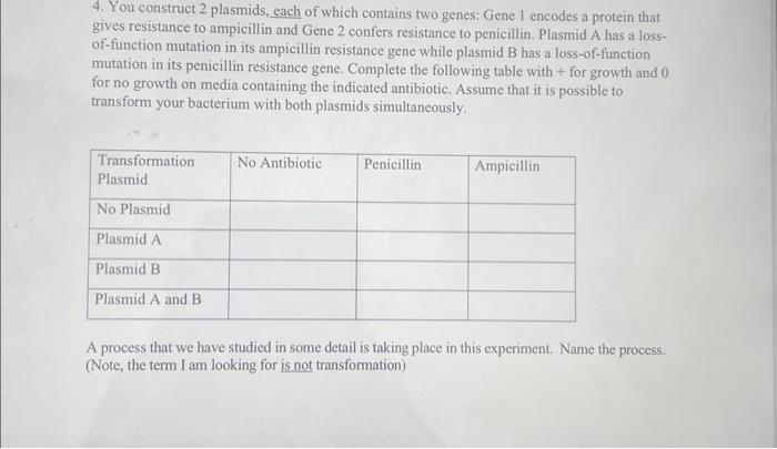 Solved 4. You construct 2 plasmids, each of which contains | Chegg.com