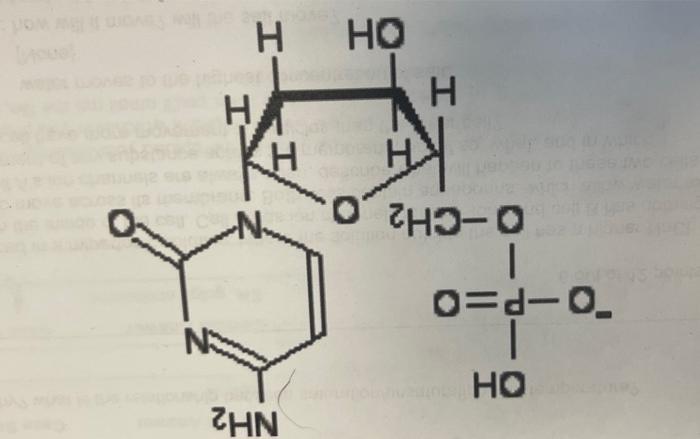 Solved is this nucleotide a purine or pyrimide? is this | Chegg.com