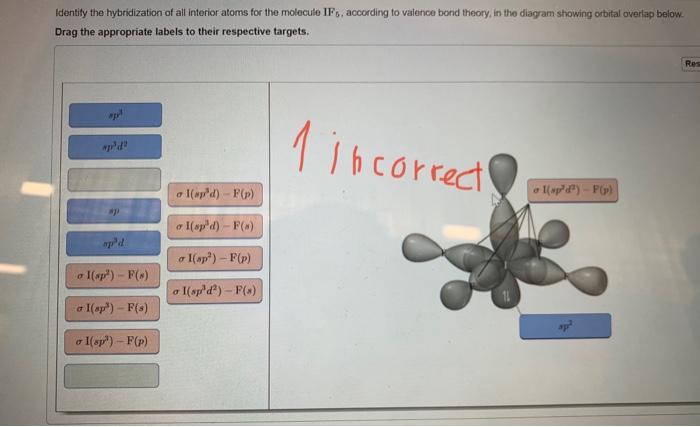 Solved Identify The Hybridization Of All Interior Atoms For