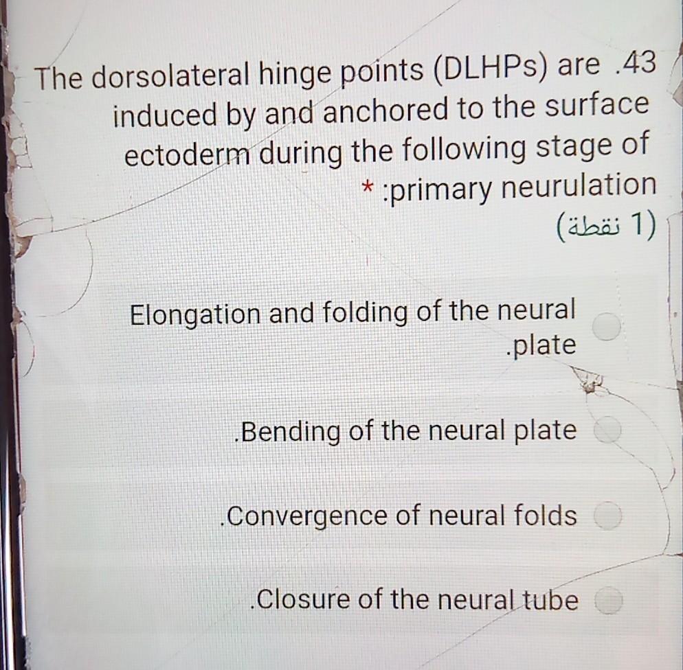 Solved The dorsolateral hinge points (DLHPs) are 43 induced | Chegg.com