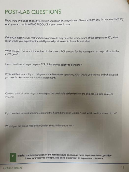 Solved There were two kinds of positive controls you ran in | Chegg.com