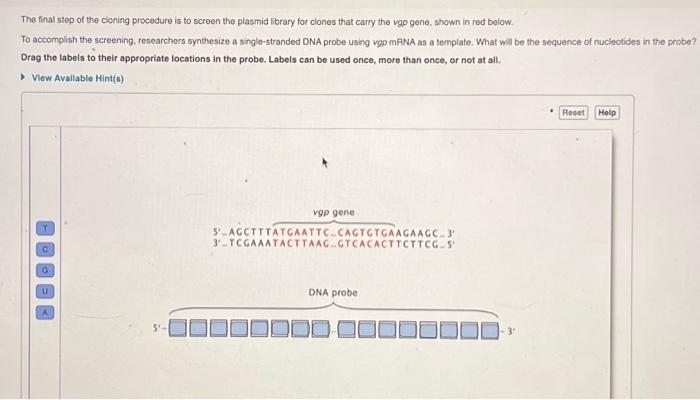 Solved The final step of the cloning procedure is to screen | Chegg.com