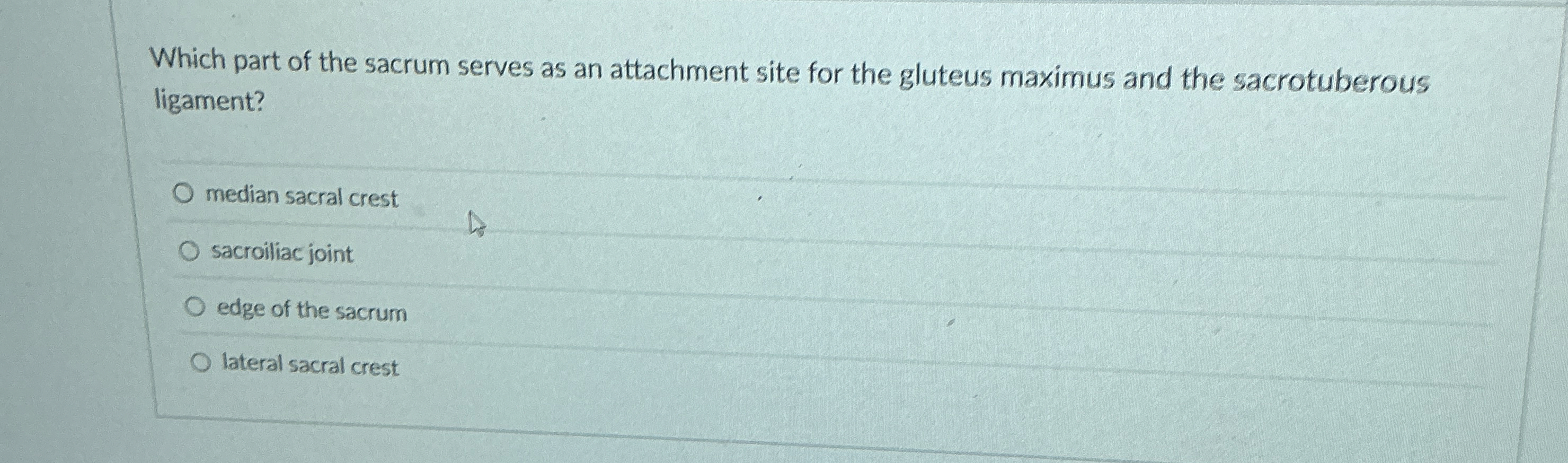 Solved Which part of the sacrum serves as an attachment site | Chegg.com