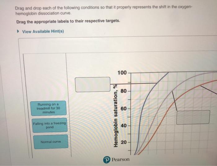 Solved Drag and drop each of the following conditions so | Chegg.com