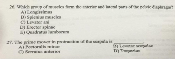 Solved 8. Which below is an example of a muscle with a | Chegg.com