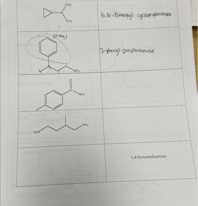 Solved DiN-Dimethyl. coclopropanamine 3-phenyl-propanamine | Chegg.com