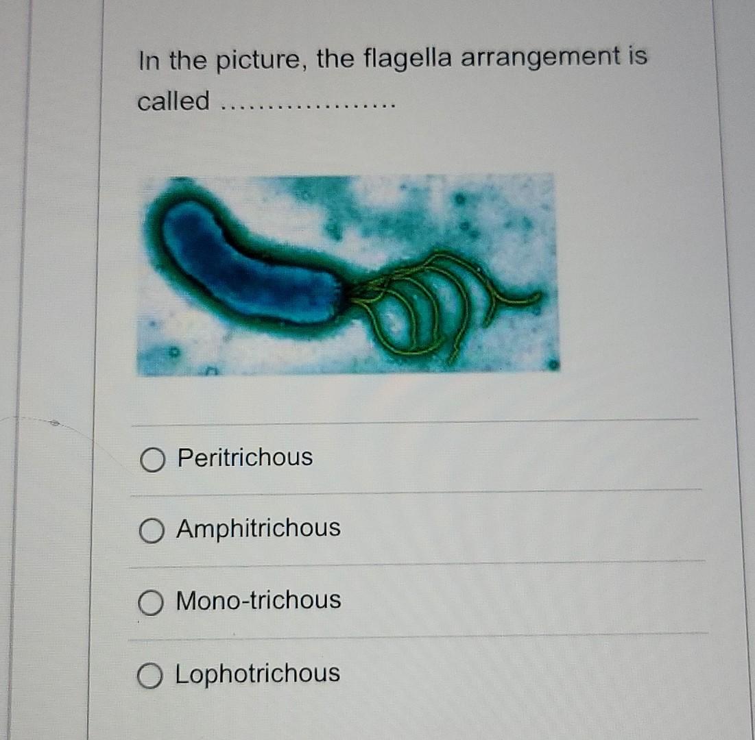 Solved In the picture, the flagella arrangement is called | Chegg.com