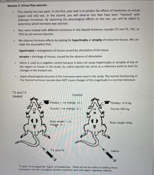 Solved . . Module 3: Virtual Rats exercise This activity has | Chegg.com
