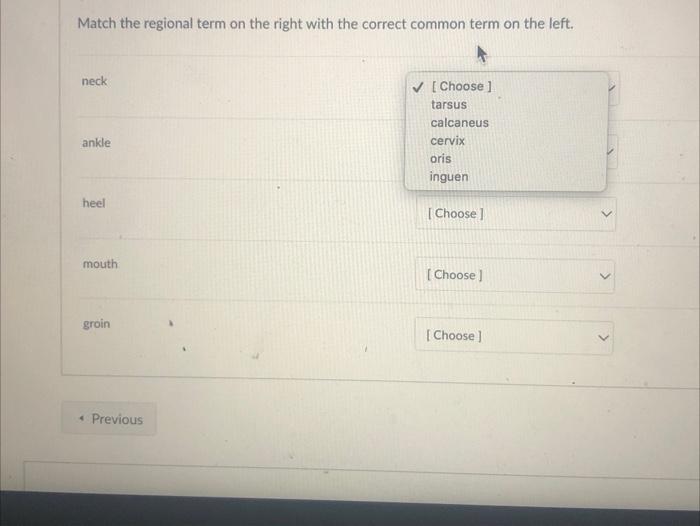 Solved Match the regional term on the right with the correct | Chegg.com