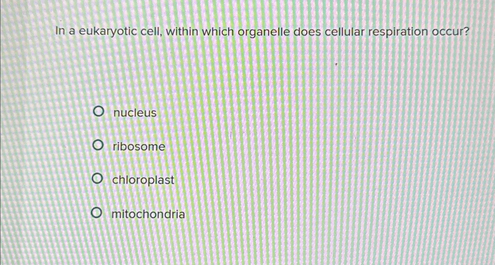 Solved In a eukaryotic cell, within which organelle does | Chegg.com